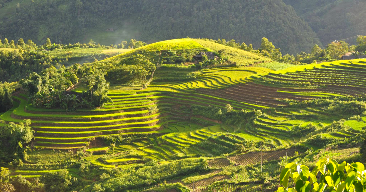 Les 5 Plus Belles Rizières Du Vietnam - Insolite voyage